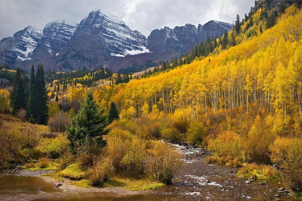 Autumn Brilliants – Todd Reed