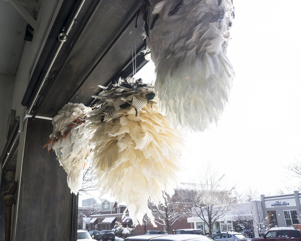 New Window Display: Romantic Feathers – Todd Reed